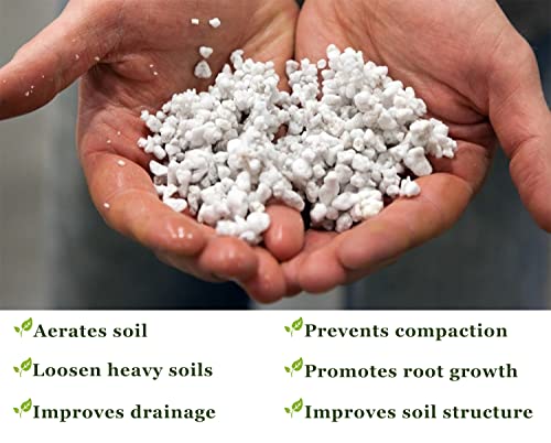 O-FarFarm Chunky Perlite Bulk, Horticultural Pearlite Coarse Perlite for Plants Indoor, Additive Conditioner Mix, Improve Drainage and Ventilation, Help Root Growth(5-10mm, 1qt)