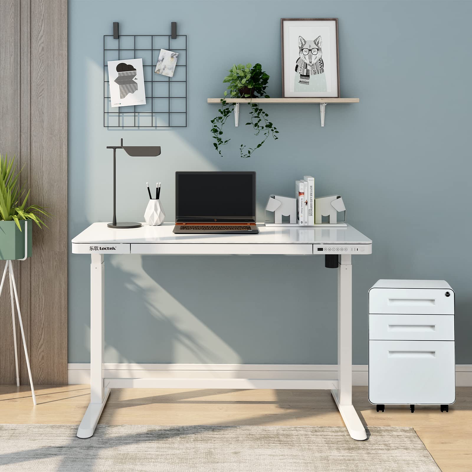 FLEXISPOT EG8 Glass Electric Standing Desk with White Cabinet 48" Adjustable Stand Up Desk Quick Install Home Office Table with Storage Drawer Charging USB Port (Tempered Glass + White Frame)