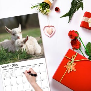 Gag Gift 2024 Wall Calendar, Funny White Elephants Pooping Dogs Calendar 2024,14 Monthly Calendar, November 2023 - December 2024, 12" x 24" Opened Full Page Thick & Sturdy Paper for Organizing &