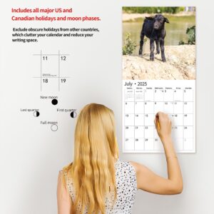 Gag Gift 2024 Wall Calendar, Funny White Elephants Pooping Dogs Calendar 2024,14 Monthly Calendar, November 2023 - December 2024, 12" x 24" Opened Full Page Thick & Sturdy Paper for Organizing &