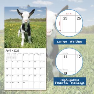 Gag Gift 2024 Wall Calendar, Funny White Elephants Pooping Dogs Calendar 2024,14 Monthly Calendar, November 2023 - December 2024, 12" x 24" Opened Full Page Thick & Sturdy Paper for Organizing &