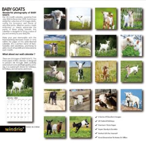 Gag Gift 2024 Wall Calendar, Funny White Elephants Pooping Dogs Calendar 2024,14 Monthly Calendar, November 2023 - December 2024, 12" x 24" Opened Full Page Thick & Sturdy Paper for Organizing &