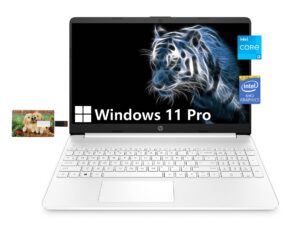 hp pavilion business laptop, 15.6" hd display, 11th gen intel core i3-1115g4 processor, windows 11 pro, 16gb ram, 512gb ssd, webcam, hdmi, type-c, numeric keypad, long battery life, pc mall usb card