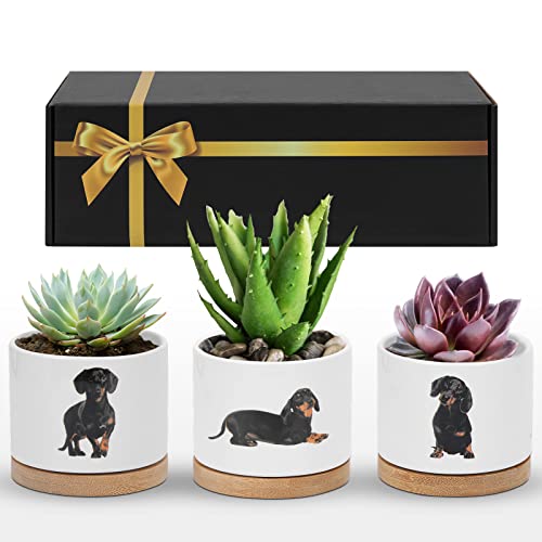 Whonline Dachshund Dog Planters, Cute Succulent Pots Dachshund Gifts for Women, Small Ceramic Flower Pots with Bamboo Tray, Weiner Dog Plant Pots Gifts for Friends Birthday Gift Set