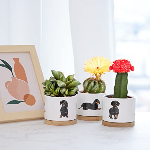 Whonline Dachshund Dog Planters, Cute Succulent Pots Dachshund Gifts for Women, Small Ceramic Flower Pots with Bamboo Tray, Weiner Dog Plant Pots Gifts for Friends Birthday Gift Set