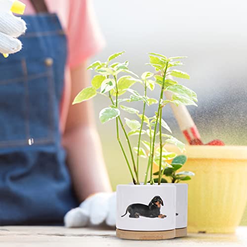 Whonline Dachshund Dog Planters, Cute Succulent Pots Dachshund Gifts for Women, Small Ceramic Flower Pots with Bamboo Tray, Weiner Dog Plant Pots Gifts for Friends Birthday Gift Set