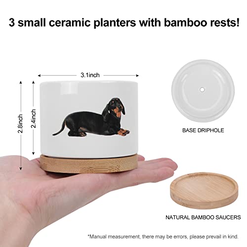 Whonline Dachshund Dog Planters, Cute Succulent Pots Dachshund Gifts for Women, Small Ceramic Flower Pots with Bamboo Tray, Weiner Dog Plant Pots Gifts for Friends Birthday Gift Set