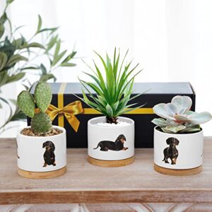 Whonline Dachshund Dog Planters, Cute Succulent Pots Dachshund Gifts for Women, Small Ceramic Flower Pots with Bamboo Tray, Weiner Dog Plant Pots Gifts for Friends Birthday Gift Set