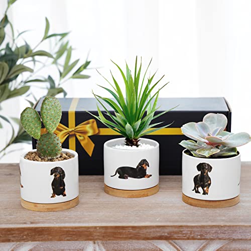 Whonline Dachshund Dog Planters, Cute Succulent Pots Dachshund Gifts for Women, Small Ceramic Flower Pots with Bamboo Tray, Weiner Dog Plant Pots Gifts for Friends Birthday Gift Set