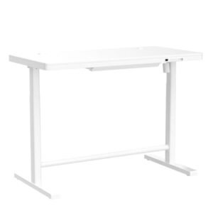 AITERMINAL Electric Standing Desk with Drawers, Height Adjustable Sit Stand Desk with Drawer, Home Office Desk Storage & USB Ports, 45 x 23 Inch White Desktop/White Frame