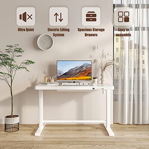 AITERMINAL Electric Standing Desk with Drawers, Height Adjustable Sit Stand Desk with Drawer, Home Office Desk Storage & USB Ports, 45 x 23 Inch White Desktop/White Frame