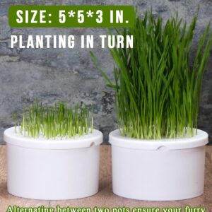 BENPIN 2Pcs Hydroponic Cat Grass Planter (no Seeds Included), Soil Free, No Dirt No Mess No Smell, Anti Digging Design, Easy to Plant Cat Grass Kit, Cat Grass for Indoor Cats Pets (Matte White)