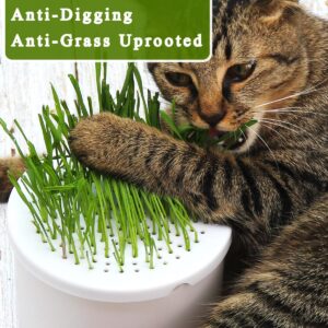 BENPIN 2Pcs Hydroponic Cat Grass Planter (no Seeds Included), Soil Free, No Dirt No Mess No Smell, Anti Digging Design, Easy to Plant Cat Grass Kit, Cat Grass for Indoor Cats Pets (Matte White)