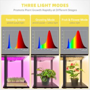 Bstrip Plant Stand with Grow Lights, 6 Tier-7 Potted Plant Shelf with Grow Lights, Grow Light Stand, Dimmable 60W (6X10W) Full Spectrum Led Plant Light with Timer for Indoor Plants, Patio Garden