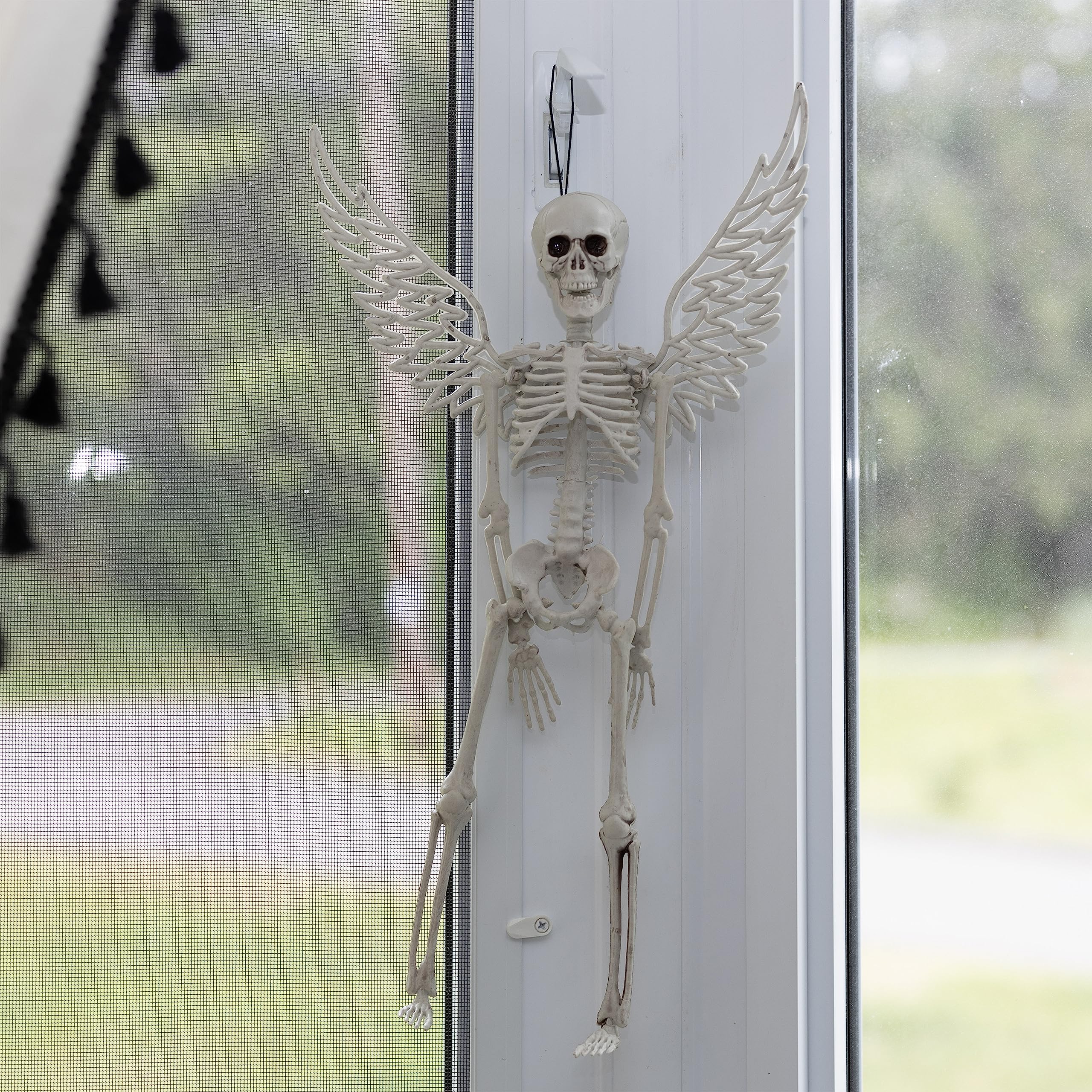 SCS Direct Angel Halloween Skeleton (2 Pack)- 16" Long- Weather Resistant Decorations-Graveyard Prop for Haunted House Party, Indoor/Outdoor Use, School Classroom