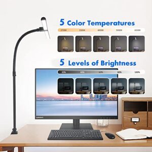 Anyuainiya Double Head LED Desk Lamp, 80CM/31.5IN Wide Lighting Architect Desk Lamps for Home Office, 24W 5 Color Flexible Adjustable Lighting Eye Protection Modern Desk Lamp for Study Reading