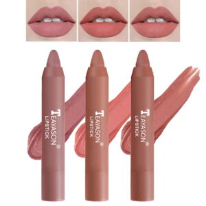 bkpplzp 3 pcs matte nude lipstick set,lip crayon lipstick for women velvet smooth lip gloss stain non-stick cup lip stick,moisturing long lasting waterproof lipstick lip makeup(set b)