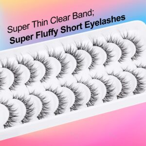 Lashes Natural Look Wispy Eyelashes Clear Band Lashes Cluster Short Mink Fluffy Fox Eye 15mm Lash Extensions Cat Eye False Eyelashes Pack, 10 Pairs, Not Fall Apart