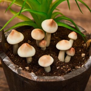 Taiyin 10 Pcs Luminous Mushroom Lights Miniature Garden Mushrooms Outdoor Decor Waterproof Glow in The Dark Mushroom Yard Decor for Fairy Outdoor Garden Micro Landscape Christmas Tree Decor