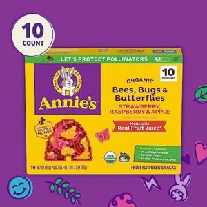 Annie's Organic Bees, Bugs, and Butterflies Fruit Flavored Snacks, 10 Pouches, 7 oz.