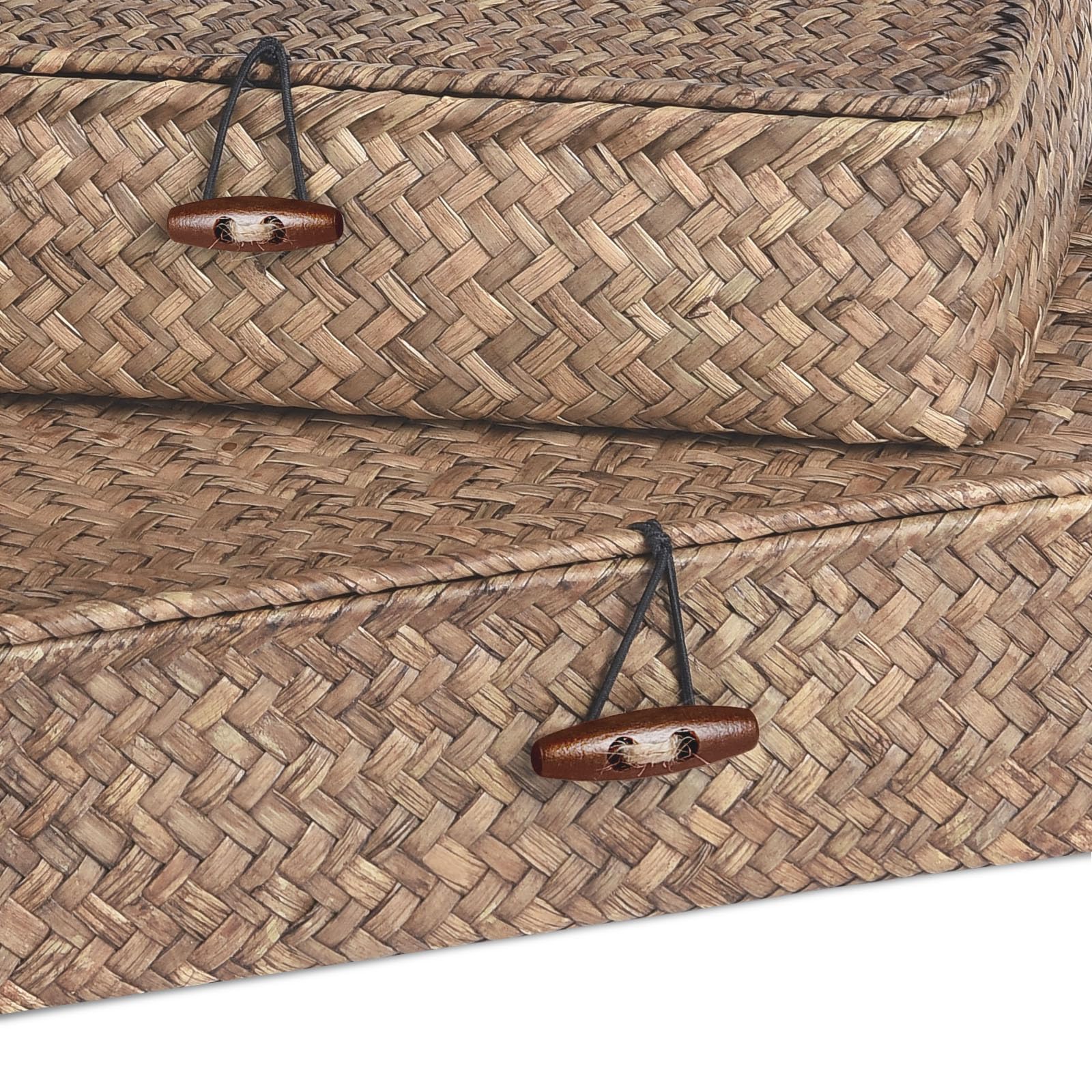 FOSSORH Set of 2 Flat Seagrass Storage Bins with Lid Wicker Storage Baskets for Organizing, Woven Shelf Organizer Bins Home Utility Organizer Box for Home & Office Supplies(Coffee)