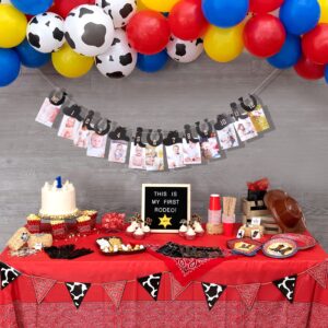 Western Cowboy Monthly Photo Banner - My First Rodeo 1st Birthday Party,cowboy First Birthday Decorations Photo Banner,newborn to 12 Months,cow Birthday Photo Display