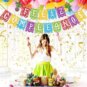 Feliz Cumpleaños Happy Birthday Banner Mexican Themed Birthday Cinco de Mayo Party Fiesta Decorations Supplies