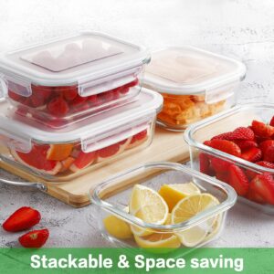 HOMBERKING Large Food Storage Containers with Lids (Square & Rectangle)