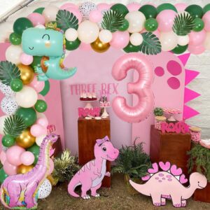 Sursurprise Dinosaur 3rd Birthday Decorations for Girl Three Rex Balloon Garland Arch Kit Pink Sage Green 3 Years Old Third Birthday Party Supplies