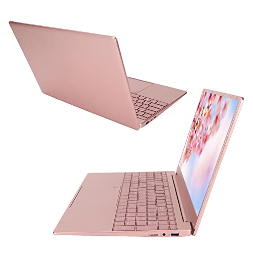 AMONIDA Business Laptop, IPS Display 15.6 Inch Laptop 16G RAM 256G SSD 6000mAh (16+256G US Plug)