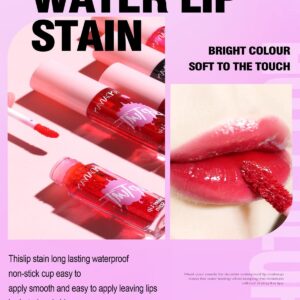 Easilydays Lip & Cheek Stain, 2 In 1 Blusher & Lip Water Tint Makeup, Matte Velvet Watery Tint Lip Gloss, Waterproof Long Lasting Lip Stains, Vivid Color Lip Stain Moisturizing Lightweight Lip Glaze for Women Pink Makeup (#01)