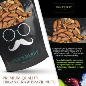 Raw Brazil Nuts - Half Pound | Deliciously Nutritious Nuts for Keto Diet and Healthy Snacking | Premium Quality, Unsalted and Perfectly Portioned in Resealable Bags- No Preservatives, Mr