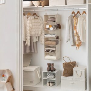 StorageWorks Hanging Closet Organizer