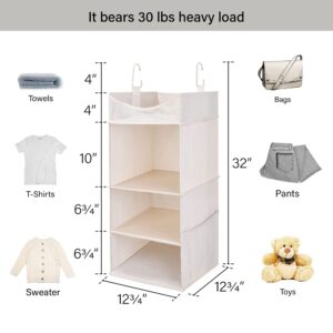 StorageWorks Hanging Closet Organizer