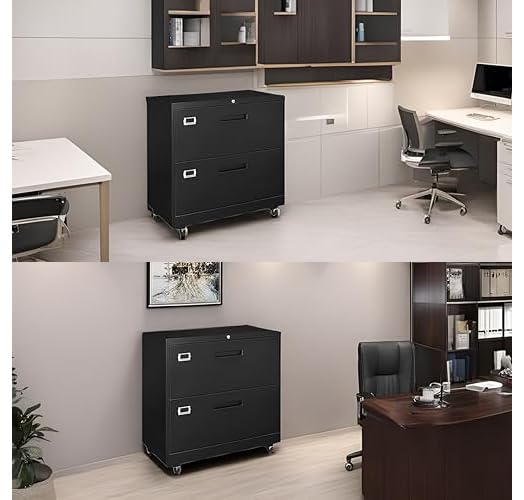 EastSideHX Metal Mobile 2-Drawer Storage Cabinet with Lock and Wheels,Vertical File Cabinet,Filing Cabinet for Home Office (Black)