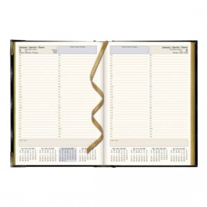 Brownline 2024 Executive Daily Planner, Appointment Book, 12 Months, January to December, Sewn Binding, 10.75" x 7.75", Trilingual, Black (CBE514-24)