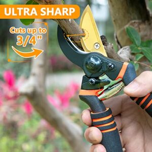 Pruning Shears, Garden Shears - Hewog 8.5" Professional Premium SK5 Steel with Titanium Bypass Pruning Shears for Gardening, Sharp Handheld Heavy Duty Garden Hedge Clippers/Scissors Pruners Tools