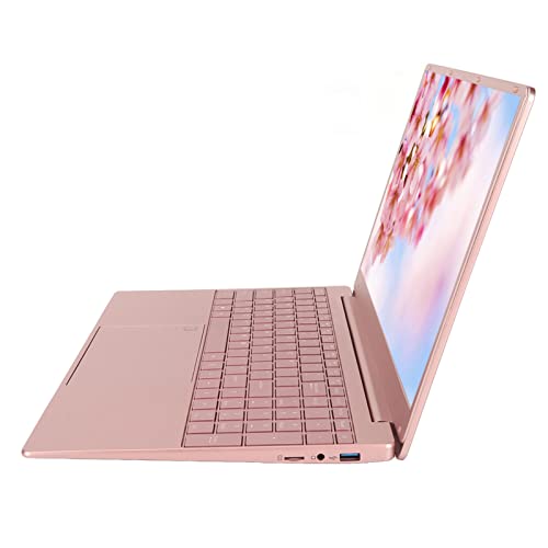 Business Laptop, 15.6 Inch 6000mAh Laptop IPS Screen for Work (16+256G US Plug)