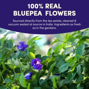 VAHDAM, Butterfly Pea Flower Tea (1.76oz) 100+ Cups | Delicate & Earthy | Vacuum Sealed for Freshness | Butterfly Pea Flower Loose Leaf Tea | Brew Iced Tea, Cooking, Mocktails & Cocktails