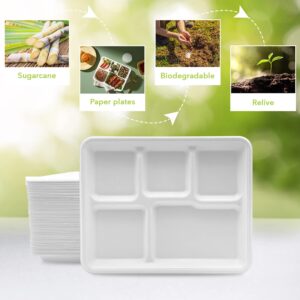 Three Leaf 5 COMPARTMENT BAGASSE (SCHOOL) TRAY 50 Ct. Heavy-Duty- Super Strong- Natural- Eco-Friendly Disposable Bagasse Plates, 100% Biodegradable 5 Compartment meal Plates