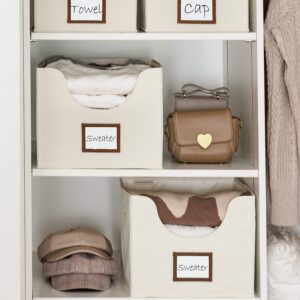 StorageWorks Closet Storage Bins and