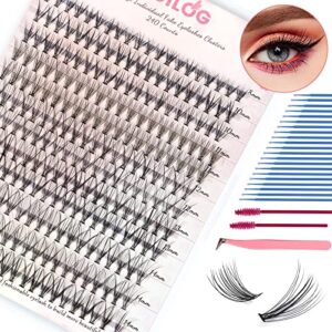 cluster lashes builog individual eyelash clusters 240pcs 20d, false eyelash diy lash clusters extension with tweezer, microbrush stick, mascara wands brush (mix10-14mm)