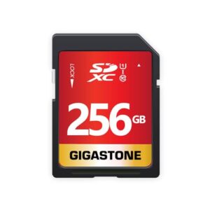 [gigastone] 256gb sd card uhs-i u1 class 10 sdxc memory card high speed full hd video canon nikon sony kodak olympus panasonic digital camera, with 1 mini case