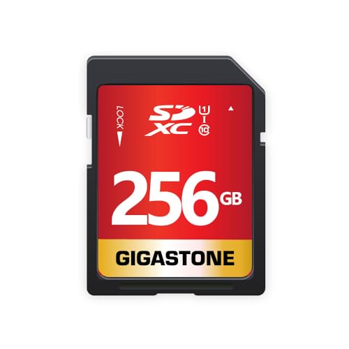 [Gigastone] 256GB SD Card UHS-I U1 Class 10 SDXC Memory Card High Speed Full HD Video Canon Nikon Sony Kodak Olympus Panasonic Digital Camera, with 1 Mini case