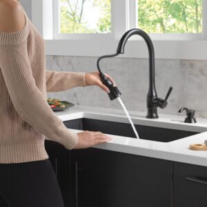 Delta Faucet Hazelwood Black Kitchen Faucet with Soap Dispenser, Kitchen Faucets with Pull Down Sprayer, Kitchen Sink Faucet with Magnetic Docking Spray Head, Matte Black 19831Z-BLSD-DST