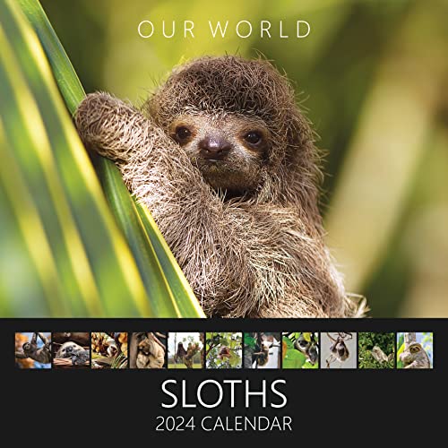 Our World Sloth Wall Calendar 2024 - Fun Family Planner & Daily Organizer with Monthly Cute Sloth Calendar Images - Slim Design 2024 Wall Planner - Great Gift for Animal Lovers