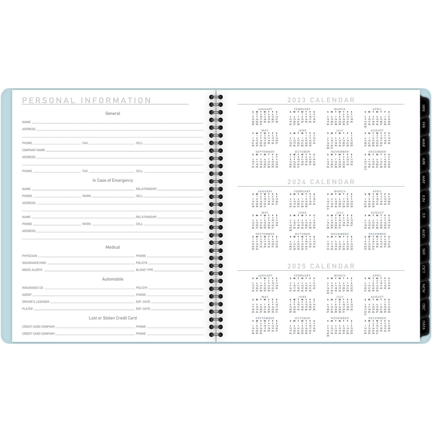 AT-A-GLANCE 2024 Monthly Planner, 9" x 11", Large, Contemporary Lite, Sky Blue (7026XL3824)