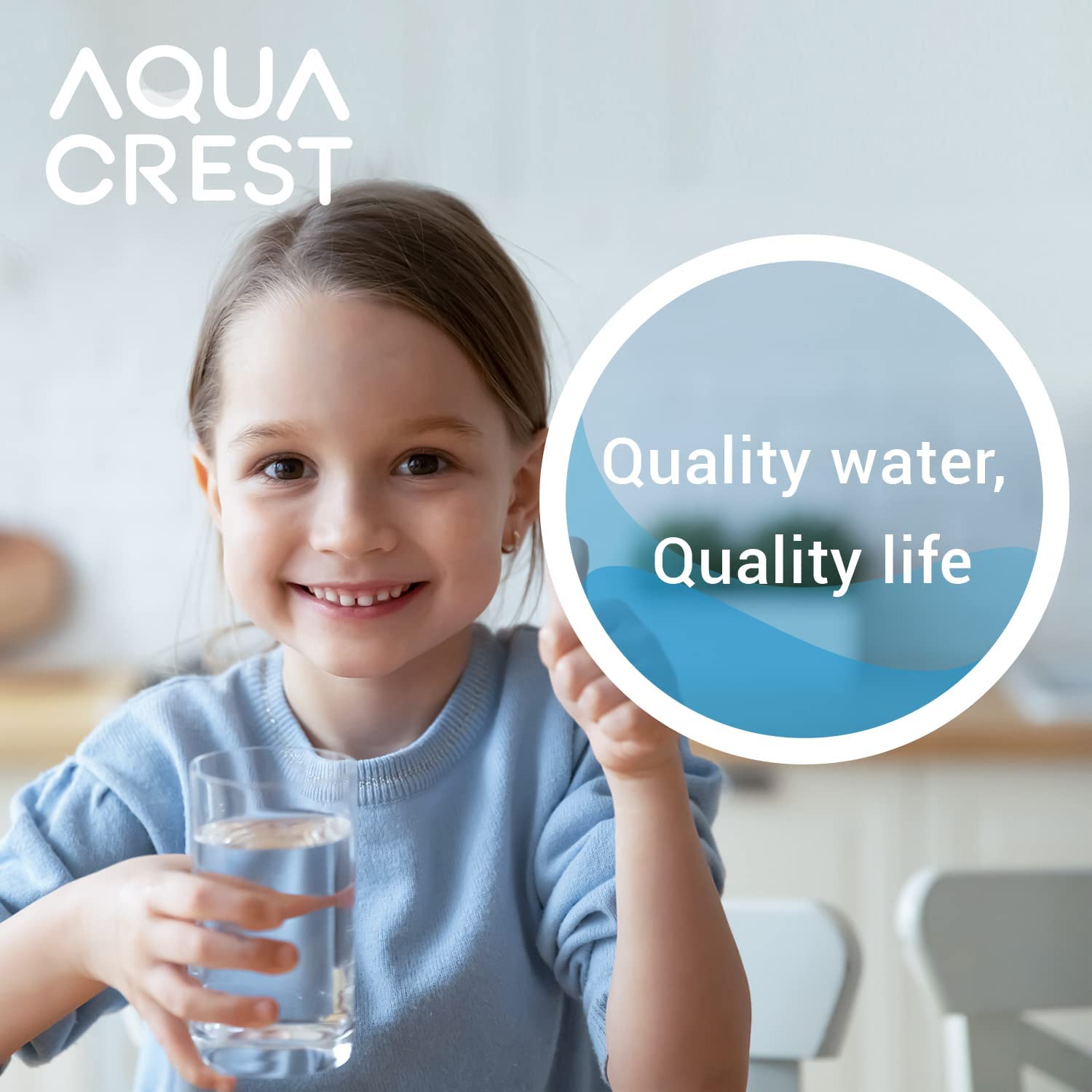 AQUA CREST FQK1K Under Sink Water Filter, 1320 Gallons, Replacement for GE FQK1K, FQK2J, GXK185K and GX1S50R (Pack of 2)