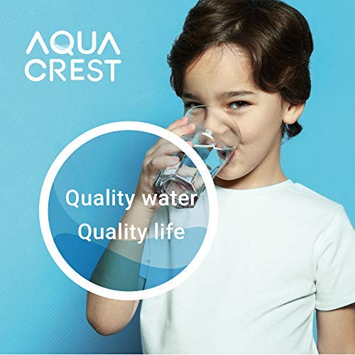 AQUACREST FQK2J Under Sink Water Filter, Replacement for GE FQK2J, FQK1K, 1320 Gallons Dual Flow Drinking Water Replacement Filters (4 Count)