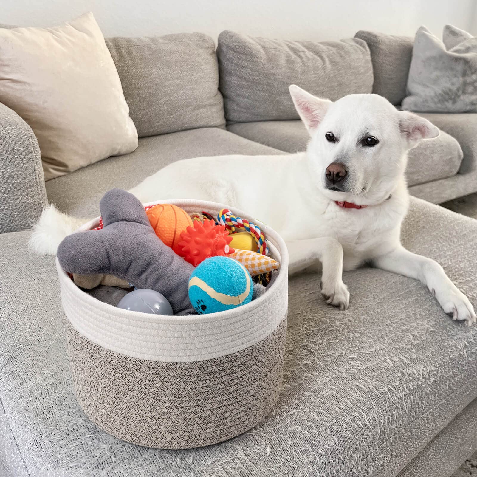 INDRESSME Small Woven Storage Basket, 9.4 x 7.1 inches, Small Round Rope Basket with Handles, Dog Toy Basket, Small Laundry Basket for Organizing, Small Toy Basket for Gifts Empty